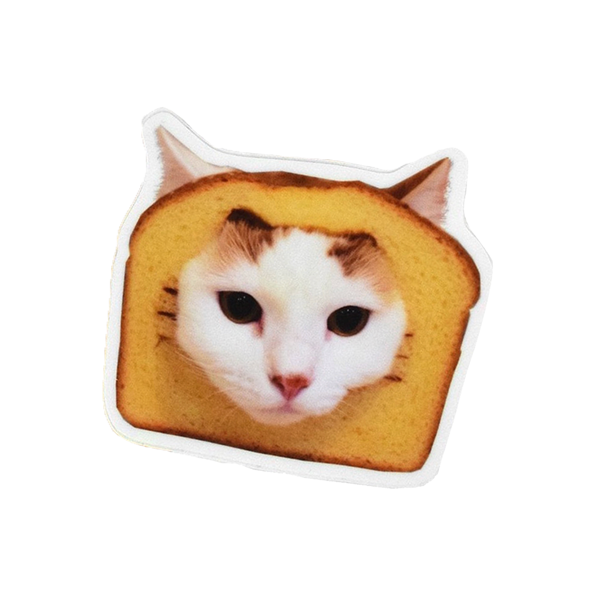 Cat Bread